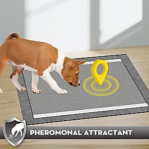 CROCI XXL 30"x36" Charcoal Pads for Dogs, Odor-Control Carbon Pee Pads for Dogs Absorbs Up to 10 Cups of Liquid, 6-Layer Leak-Proof & Quick Dry Dog Training Pads, Disposable (35 Counts)