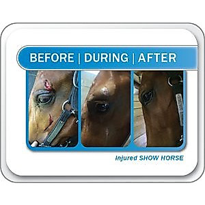 Champion Shield Silver Liquid Bandage, 4oz Gel Spray for Equine and Large Animal Wound Care, Woman Owned Small Business, Made in The USA