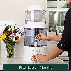 Fluoride And Chlorine Replacement Filter Gravity Water System, Alkaline and Adds Minerals