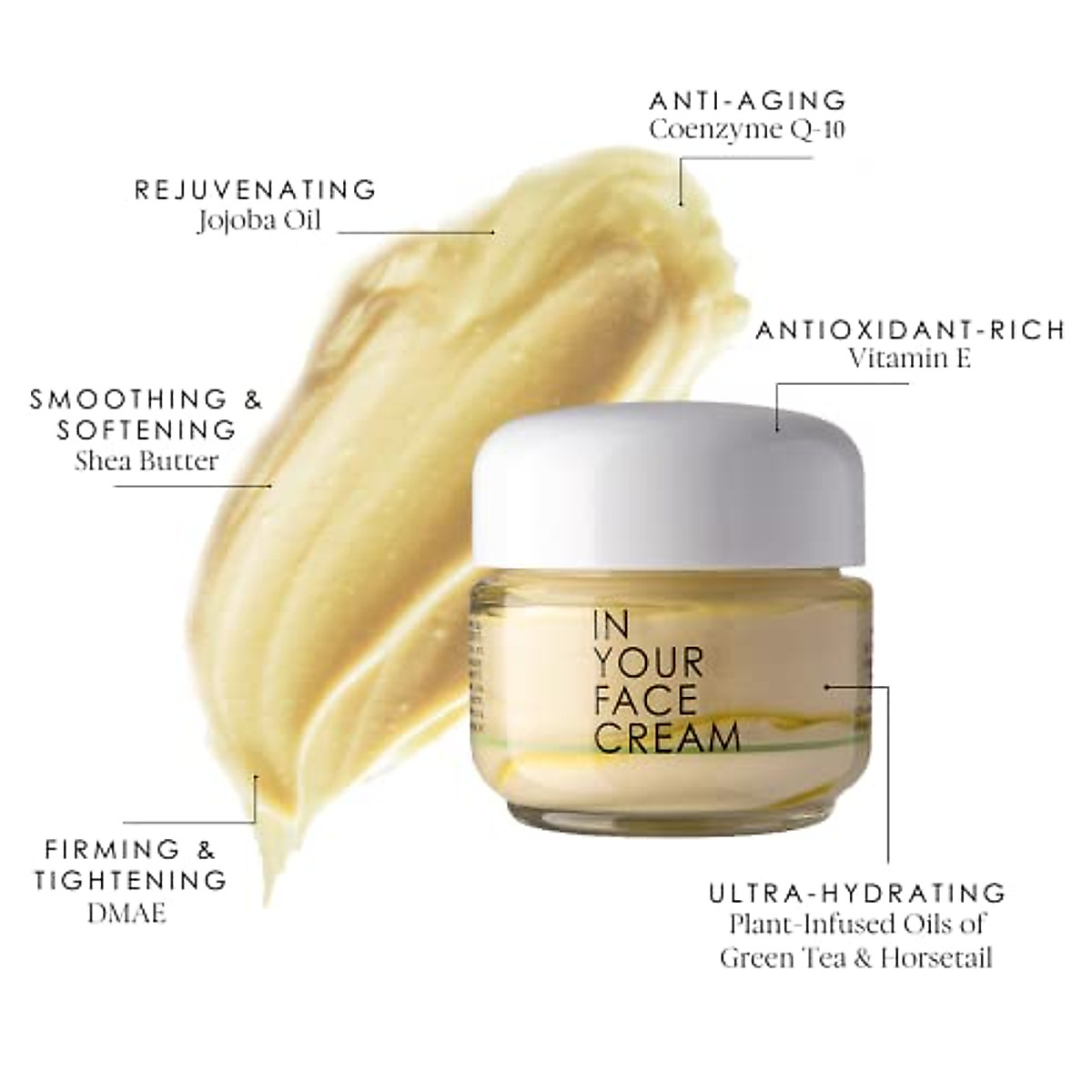 In Your Face CREAM Luxurious Moisturizer for Face | 100% Natural CoQ10 & Vitamin C Face Cream | Adds Layers of Hydration | Softens Signs of Aging & Restores Skin's Balance