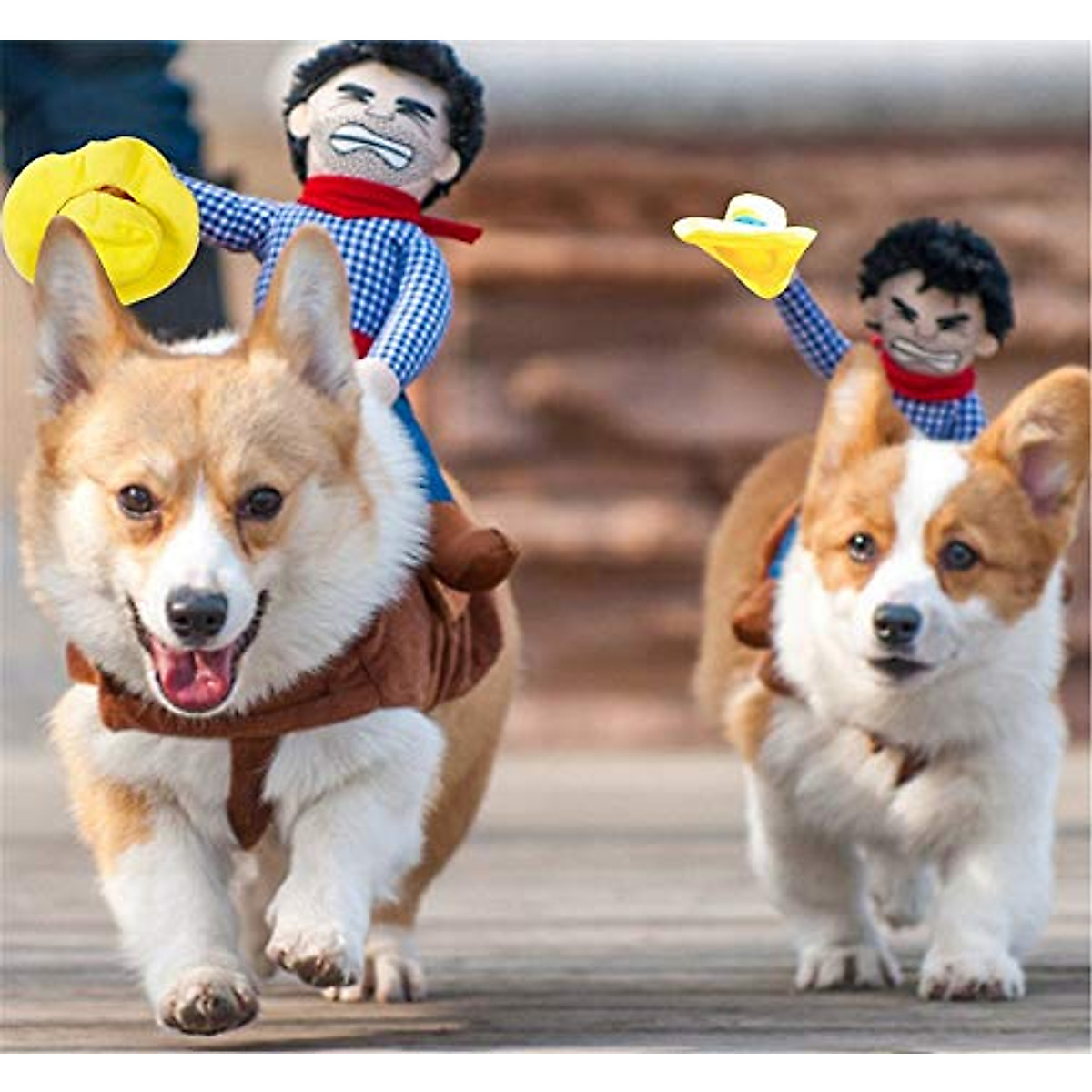 NACOCO Cowboy Rider Dog Costume for Dogs Clothes Knight Style with Doll and Hat for Halloween Day Pet Costume (S)