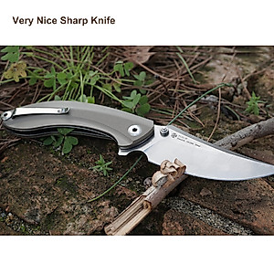 Ruike Camping Tactical Folding Pocket Knife, 14C28N, Liner Lock, Ball Bearing,Fast Opening Flipper,EDC Hunting Survival for Men Women, P155