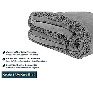 PAVILIA Waterproof Blanket for Couch, Sofa | Waterproof Dog Blanket for Large Dog, Puppy, Cat | Pet Blanket Protector | Plush Soft Warm Fuzzy Sherpa Blanket Bed Throw, Light Grey, 60x80