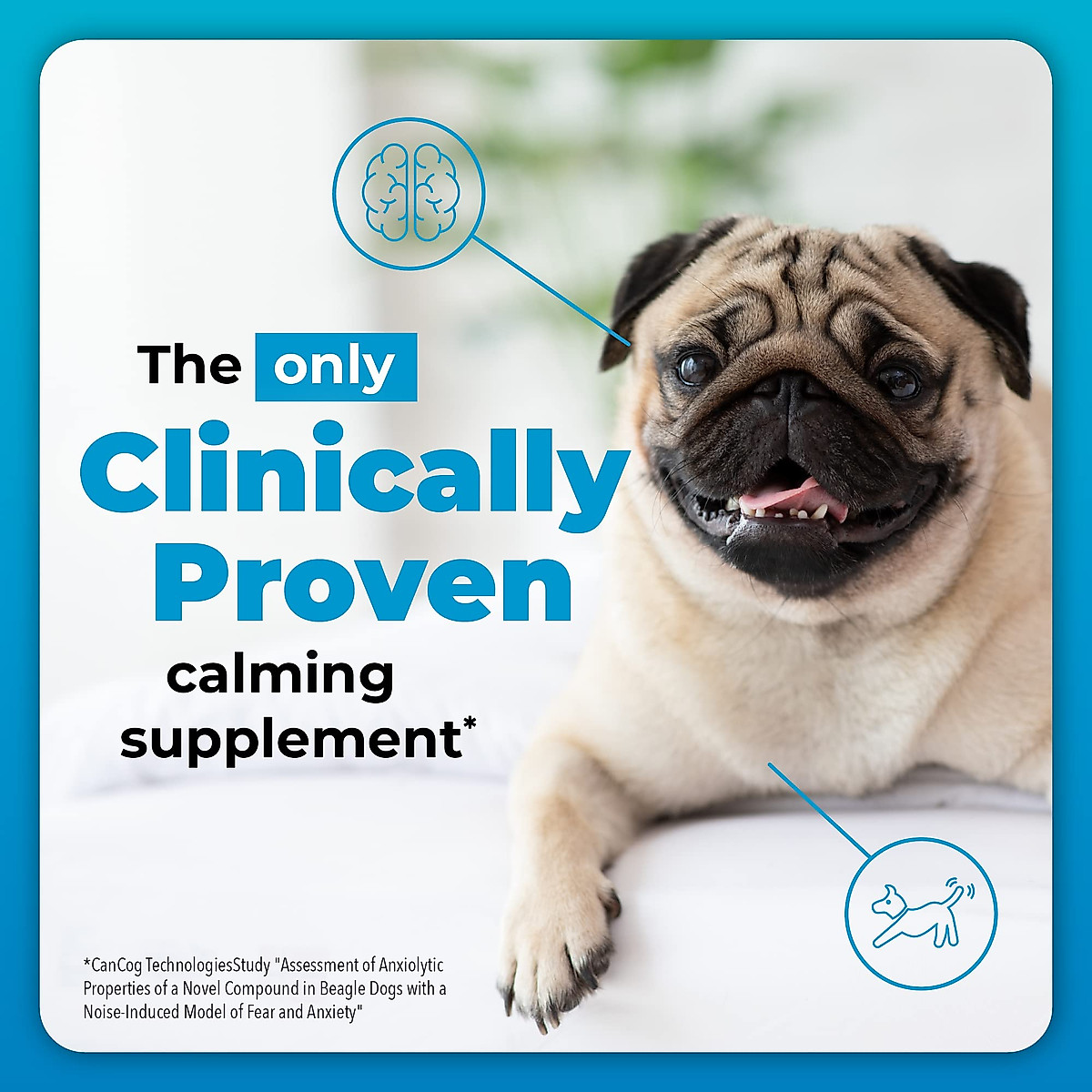 VETRISCIENCE Composure Calming Treats for Small Dogs Dealing with Anxiety, Separation Stress, Noise, Thunder and Barking - Yummy Flavored Chews Pets Love, 30 Chews