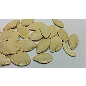 Pumpkin Seeds - Jack O'Lantern - Heirloom - The Original Carving Pumpkin - Liliana's Garden