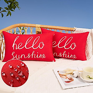DFXSZ Outdoor Pillow Covers 12x20 Inch Set of 2 Hello Sunshine Decor Red Waterproof Throw Pillow Covers Summer Outdoor Waterproof Pillow Covers Decor for Patio Funiture Garden Sofa Couch 021A