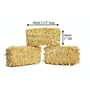 Meyer Imports Mini Hay Bales - Small - (Pack of 12) Small Decorative Hay – for Craft/Dollhouse/Farm/Halloween/Table Decoration - 2.5 x 1 Inches Each
