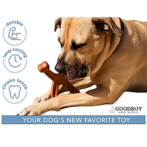 Peanut Butter & Bacon Flavored Dog Chew Toy for Aggressive Chewers - Tough Dog Bone - Heavy Duty and Durable Dog Toy - Nylon Bone Chew Toy for Medium Dogs and Large Dogs