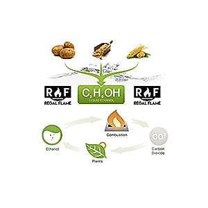 Regal Flame Premium Ventless Bio Ethanol Fireplace Fuel - 48 Quart