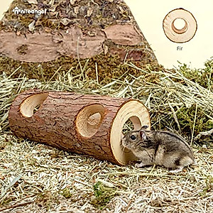 Niteangel Natural Wooden Hamster Mouse Tunnel Tube Toy Forest Hollow Tree Trunk