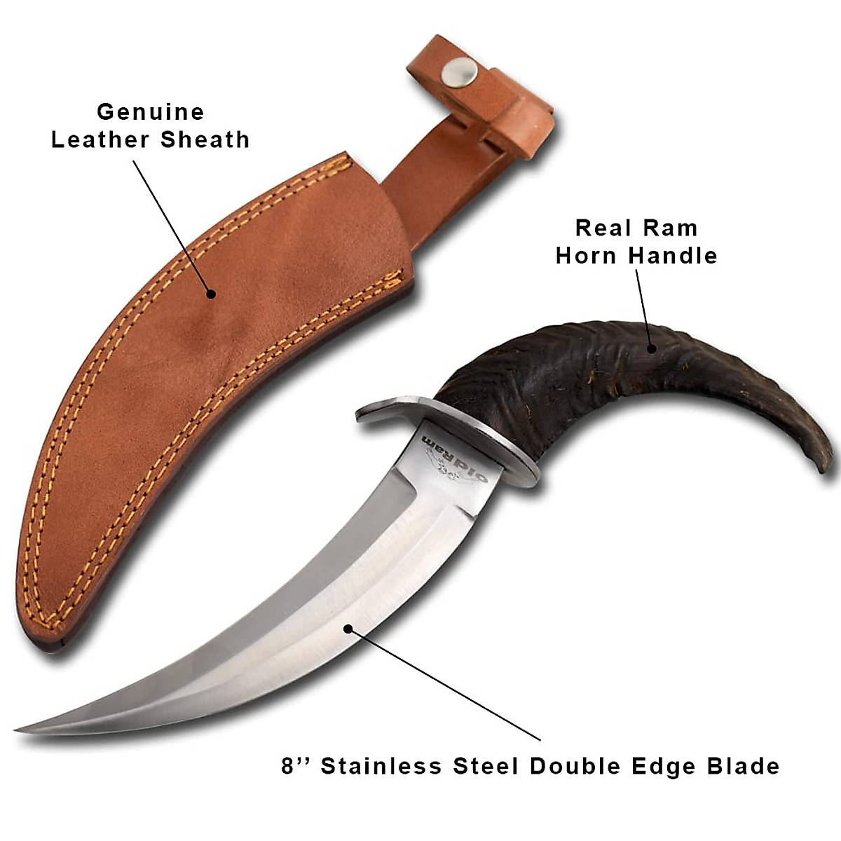 Old Ram Handmade Collection Stainless Steel Hunting Hunting Knife RAM Horn Handle With Leather Sheath