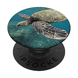 Pop out Cell Phones holder underwater Ocean Sea Turtles PopSockets Swappable PopGrip