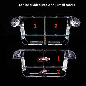 Qguai Fish Breeding Box, perfect fish tank divider acclimation box for aggressive fishes, nursery for injured, hatchery incubator breeder box for Shrimp cicilids eggs baby fishes (S ( 5.3*2.7*2.9" ))