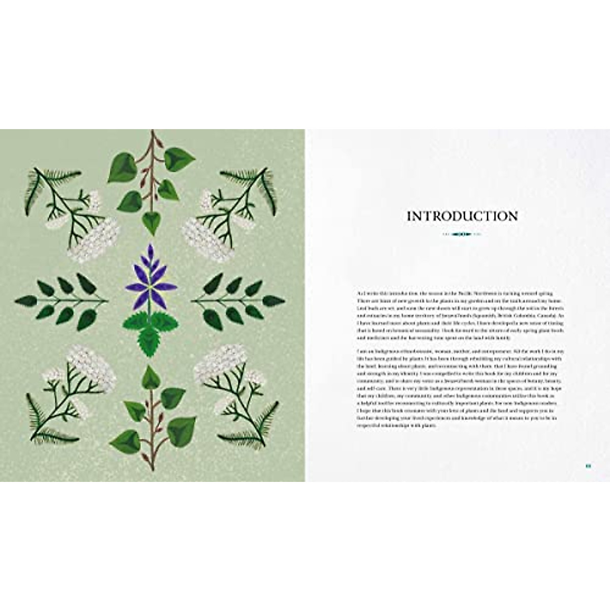 Held by the Land: A Guide to Indigenous Plants for Wellness