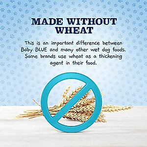 Blue Buffalo Baby BLUE Healthy Growth Formula Grain Free High Protein, Natural Kitten Pate Wet Cat Food Variety Pack, Chicken, Salmon 3-oz (6 Count- 3 of Each Flavor)