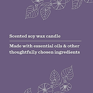 Mrs. Meyer's Clean Day Garden Heirloom Scented Soy Candle, Large, Moonflower Scent, 14 Ounce Candle