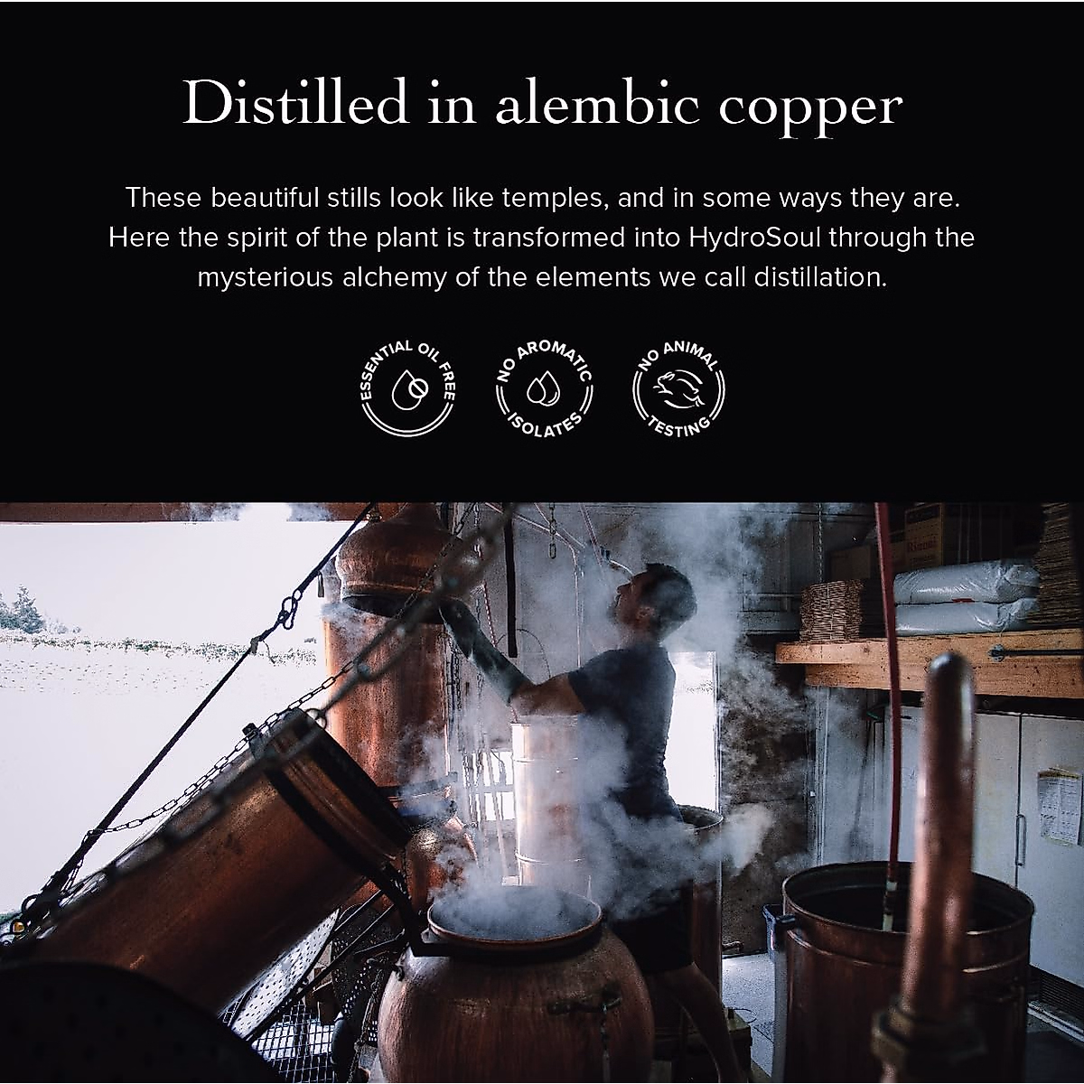 evanhealy Lemon Thyme HydroSoul | Copper Distilled Hydrosol | Purifying Facial Tonic | Organic Plant Face Toner | Purify & Decongest Blemished, Congested, Teen Skin