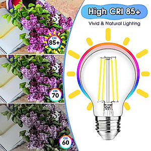 GGOYING 60W Equivalent E26 LED Bulb Dimmable, 850LM LED Edison Bulbs Daylight White 5000K, 6W A19 Filament Light Bulb, Classic Clear Glass, 6-Pack