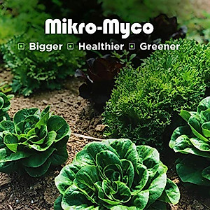 Mikro-Myco, Highly Concentrated Mycorrhizal Fungi –11 Endo/Ecto Mycorrhizae, Water Soluble Powder for Exponential Root Growth (2 oz)