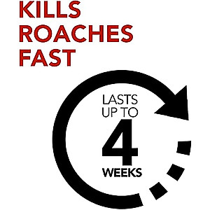 Raid Ant & Roach Killer Lemon Scent, 17.5 Ounce (Pack of 1)