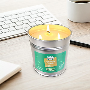 Large 3 Wicks Bucket Citronella Candle for Outdoor Camping Natural Soy Wax Bugs Away Fly Off Lemongrass Scented Candle for Indoor Porch Backyard Deck Garden Outside Picnic Party Wedding Tabletop