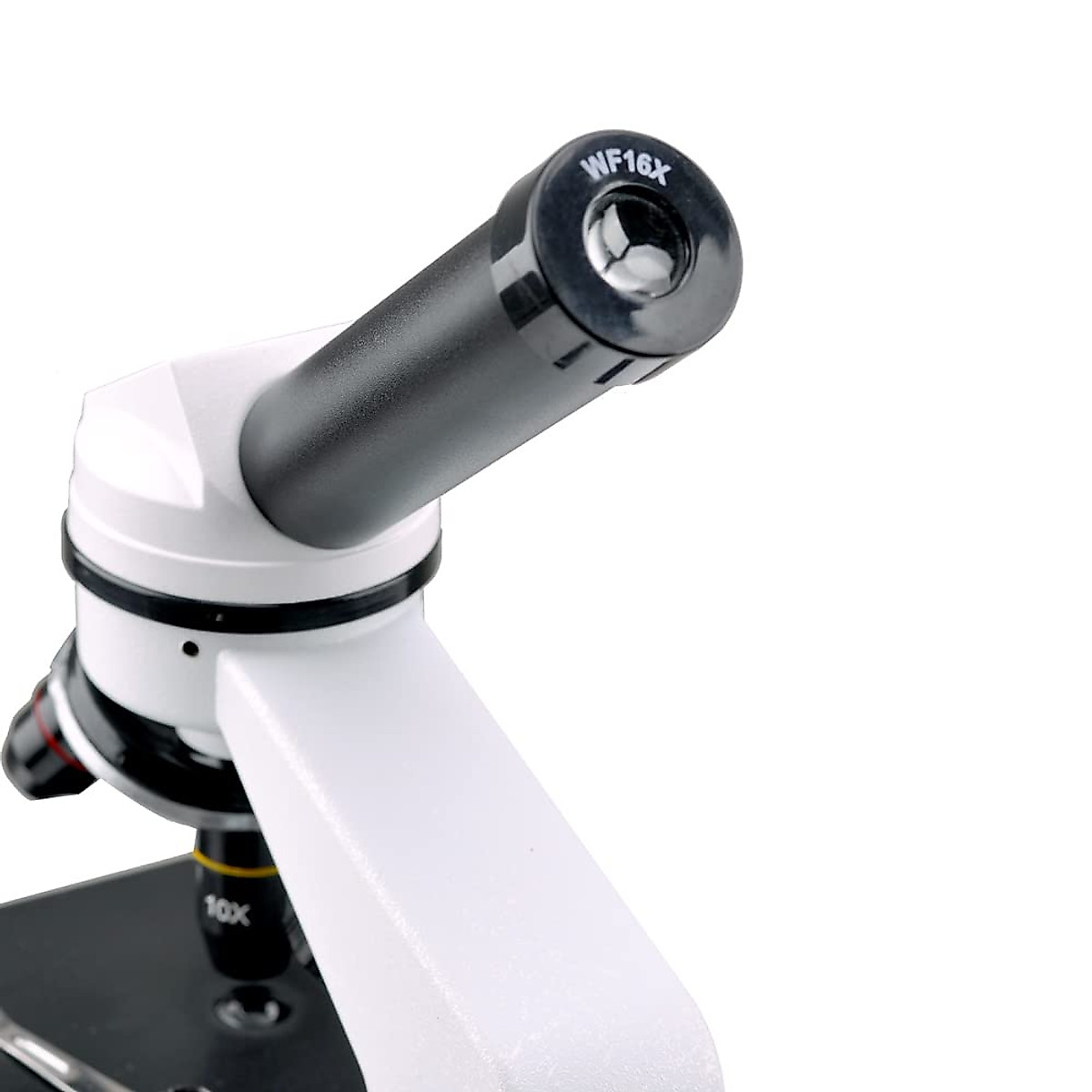 starboosa Microscope Accessories WF16X Microscope Eyepiece Installation Size Φ23mm (0.905 ")