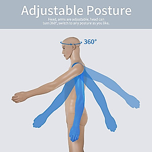 Male Mannequin Full Body Dress Form Sewing Dress Model Stand Adjustable 73 inch Realistic Detachable Manikin Body Display Head Arm Rotation Metal Base