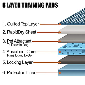 BV Pet Potty Training Pads for Dogs Puppy Pads, Pee Pads, Quick Absorb, 22" x 22" Training Pad, 100 Count Dog Pee Pads, Doggie Pads, Disposable Puppy Pee Pads