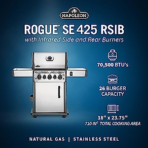 Napoleon Propane Gas Grill