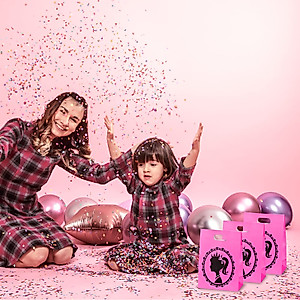 XUWAIDSGN 24 pieces Cute Girl Party Bags Black Princess Goodie Candy Treat Paper Bags Gift Bags Party Supplies for Cute Girl Themed Party… (Rose Red)