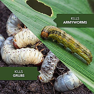 BioAdvanced Complete Insect Killer for Soil and Turf, Concentrate, 40 oz