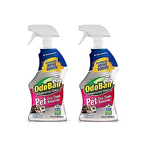OdoBan Pet Solutions Oxy Stain Remover, Pet Stain Eliminator, 2-Pack, 32 Ounce Spray Each