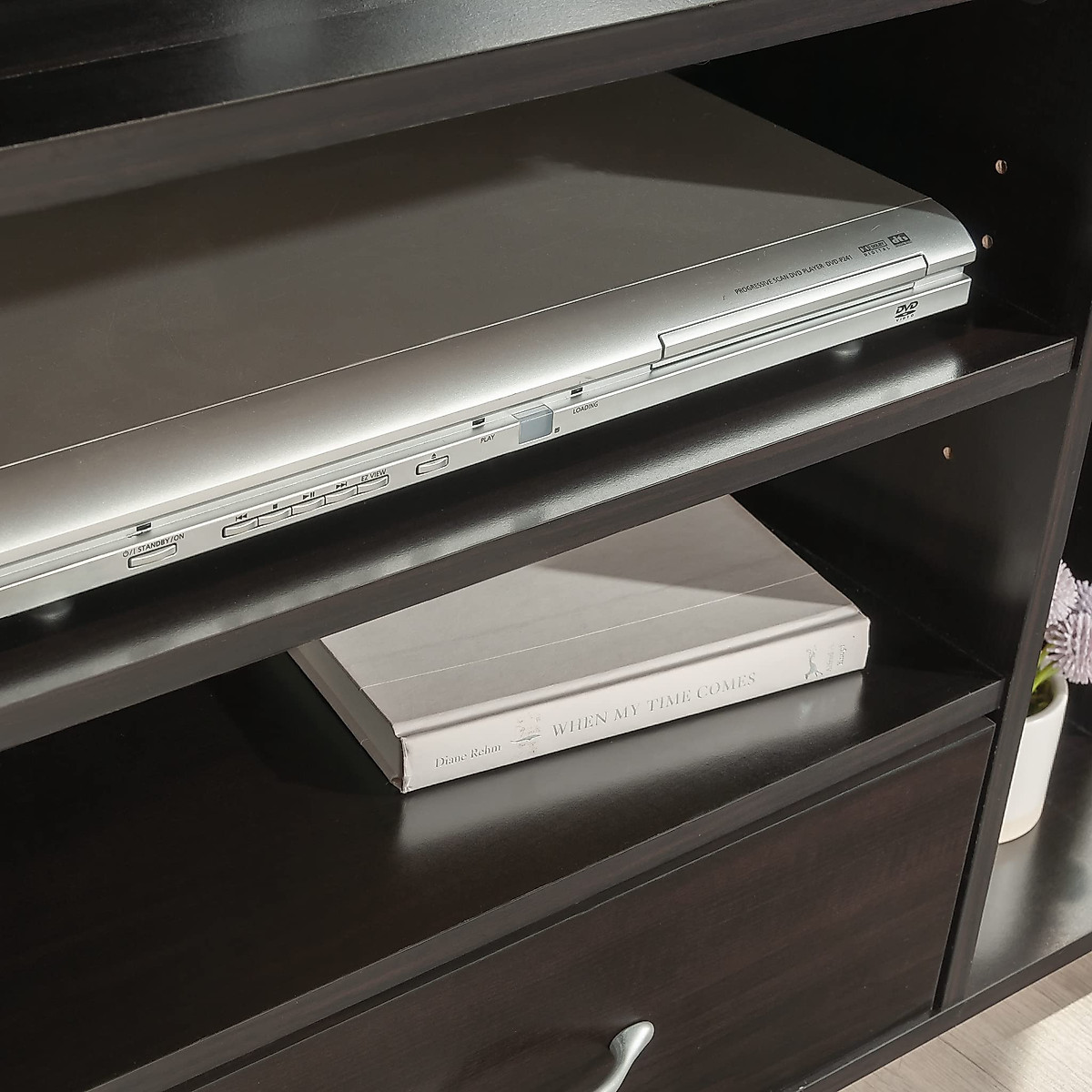 Sauder Beginnings Panel TV Stand, For TV's up to 42", Cinnamon Cherry finish