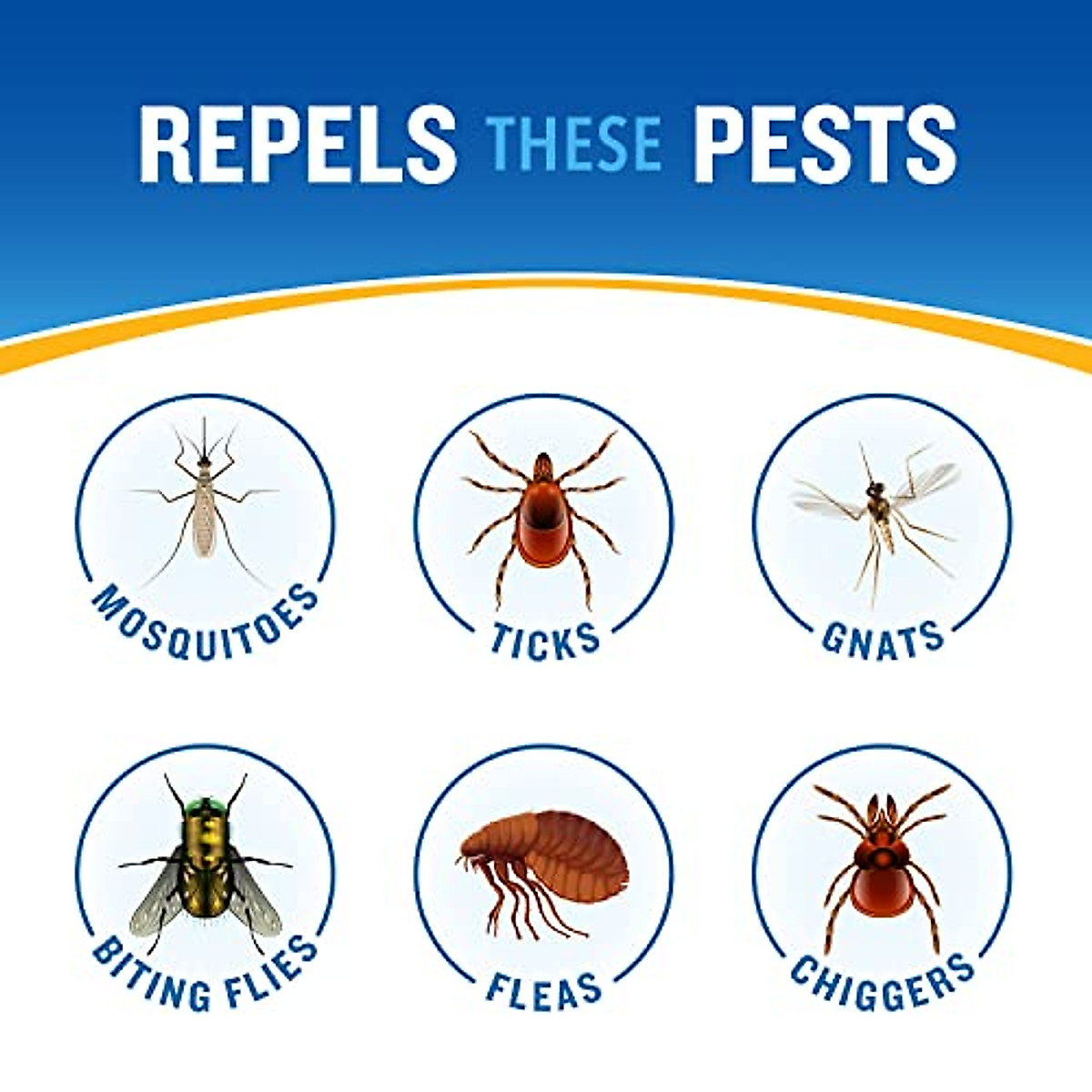 Cutter Sport Insect Repellent (Aerosol) (11 oz), Plain