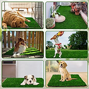 Grass Pad for Dogs Strong Absorbency Soft and Real Grass for Pets Potty Training, Easy to Clean Fake Grass for Dog Indoor Outdoor Use(39.3 x 31.5 inches,1 Pack)