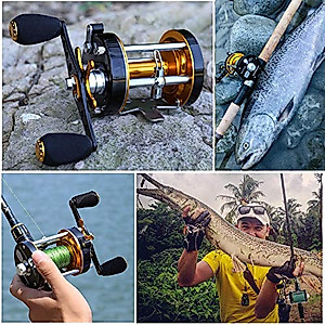 Sougayilang Fishing reels Round Baitcasting Reel - Conventional Reel - Reinforced Metal Body & Supreme Star Drag-Right Hand-Golden-Black-Warrior 5000