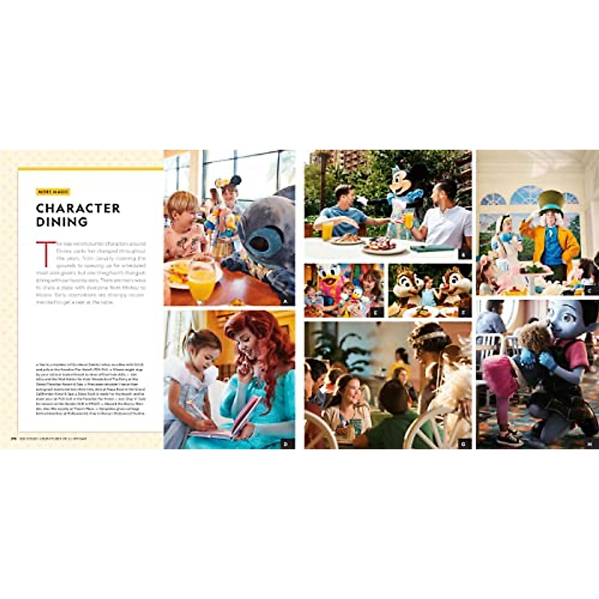 100 Disney Adventures of a Lifetime: Magical Experiences From Around the World