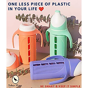 Tabor Place Glass Sippy Cup for Toddlers - The Luca | Spill-proof | Silicone Straw | Mint Green | 8 oz | Liquids Never Touch Plastic | Removable Handles