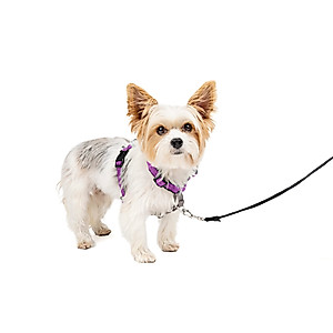 PetSafe 3 in 1 Dog Harness - No Pull Solution for Dogs - Reflective Dog Harness - Front D-Ring Clip Helps Stop Pulling - Comfortable Padded Straps - Top Handle Enhances Control - Plum - Extra Small