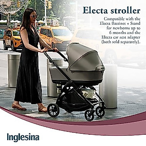Inglesina Electa Full Size Standard Baby Stroller - Weighs only 19 lbs, Reversible Seat, Compact Fold, One-Handed Open & Close, Adjustable Handle, Large Basket & All-Wheel Suspensions - Tribeca Green