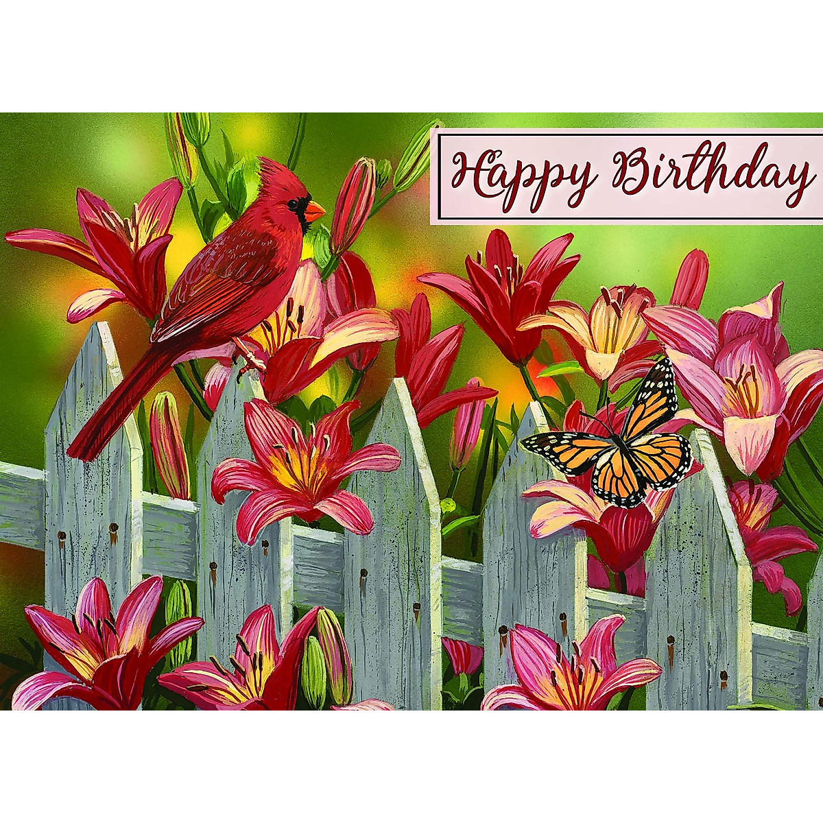 Crown Point Graphics Shared Blessings Birthday Birds 12 Boxed Birthday Cards, Beautiful Birds with KJV Scripture, Art by William Vanderdasson