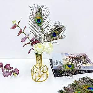 Piokio 50 pcs Natural Peacock Feathers in Bulk 10-12 inch(25-30 cm) Bulk for DIY Craft, Wedding, Mardi Gras Decoration