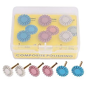 YWBL-WH 6 Pcs Mixed Dental Composite Resin Polishing Disc Kit Spiral Brush Burs with Plastic Storage Box