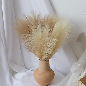 lulute 6 Stems Faux Pampas Grass,17 inch/45cm Artificial Pampas Grass,Fake Dried Pompous Grass Branches Decor for Home Kitchen Garden Party Photographing,Flower Arrangement Vase(Beige Taupe)