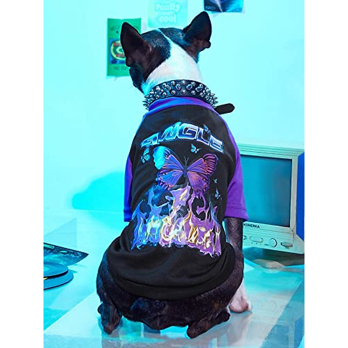 QWINEE Y2K Dog Tee Shirt Butterfly Print Colorblock Puppy T Shirt Soft Stretchy Shirts Pet Apparel for Small Medium Cats Dogs Black L