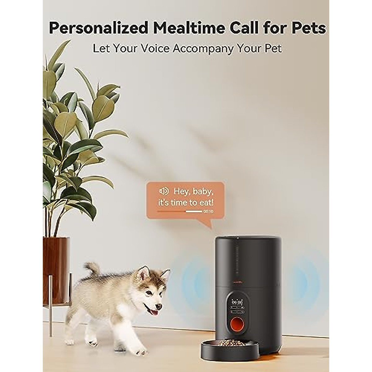 WOPET FT50 Automatic Cat Food Dispenser - Automatic Cat Feeders with Programable 1-6 Meals, Automatic Dog Feeder with Stainless Bowl, Timed Cat Feeder with 10S Voice Recorder for Cat and Dog, Black