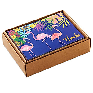 Hallmark Thank You Cards Assortment, Tropical Animals (24 Assorted Thank You Notes with Envelopes—Cheetahs, Llamas, Zebras, Flamingos, Birds)