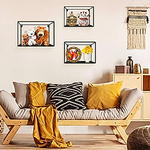 Metal Floating Shelves,Modern Metal Wire Frame Shadow Boxes, Decorative Wire Cube Floating Shelves,Set of 3, Black