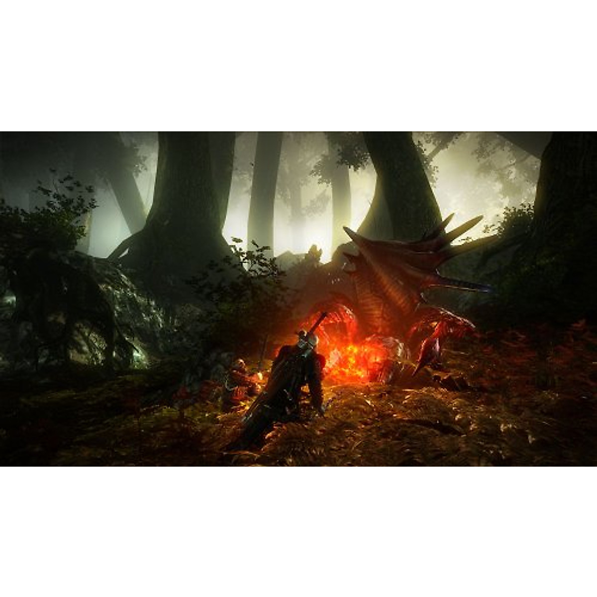 The Witcher 2: Assassins Of Kings Enhanced Edition