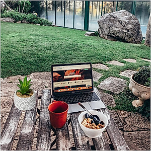 CADNLY Small Artificial Plants in Pots - Fake Plants for Bathroom Office Desk - Faux Succulents Succulents Decor 1 Pack